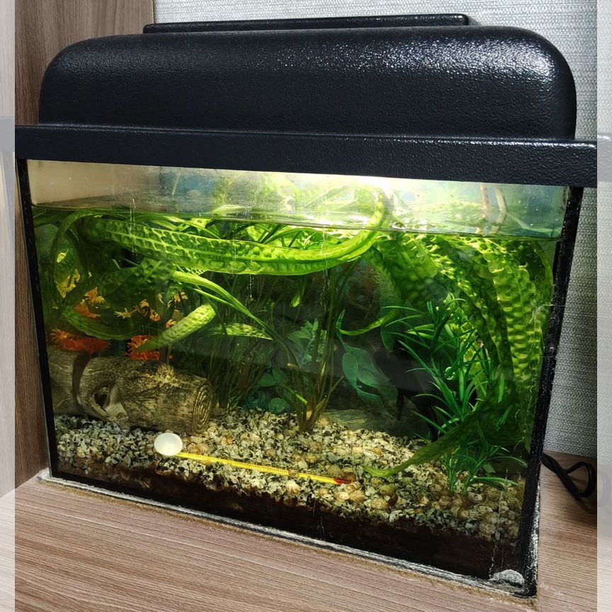 Аквариум 15 литров
