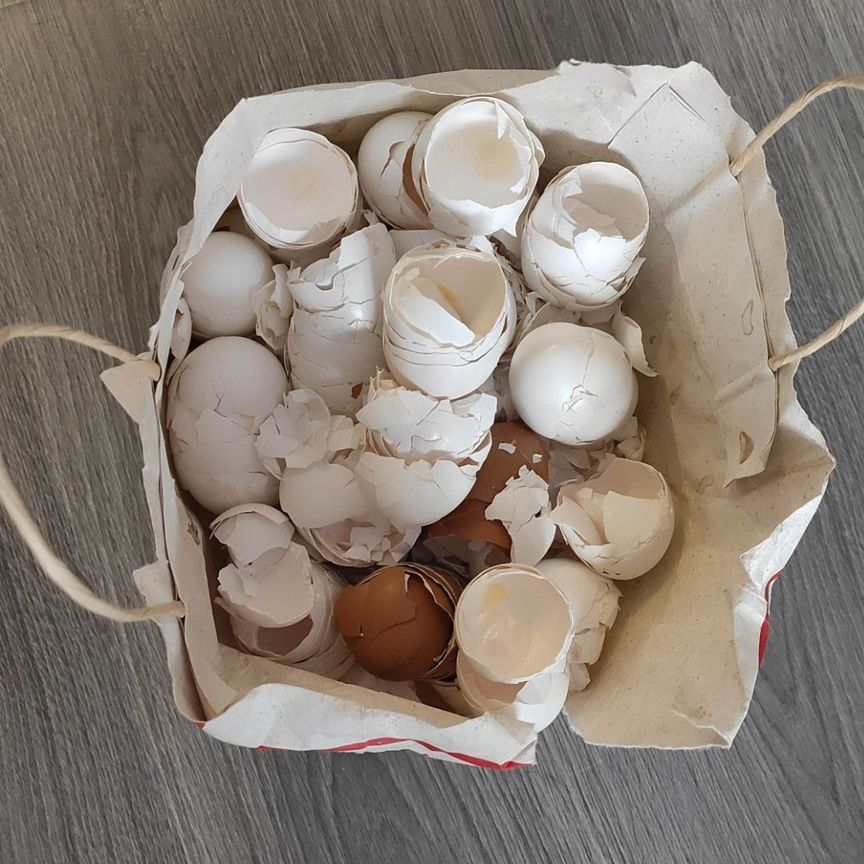 Яичная скорлупа 1 кг бесплатно