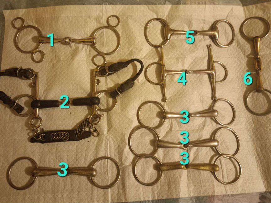 Трензель для лошади