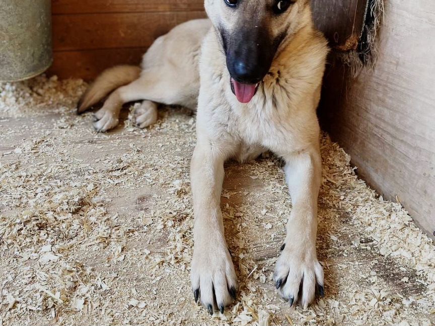 Шанс на новую жизнь