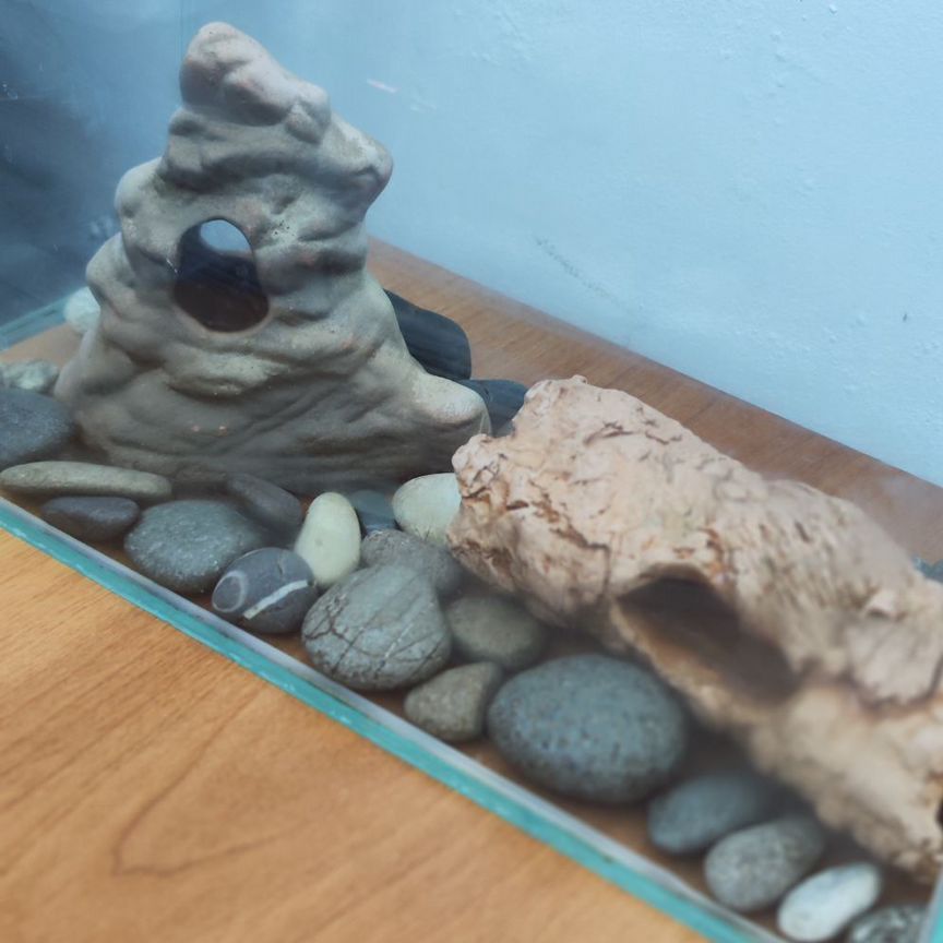 Аквариум с аксессуарами