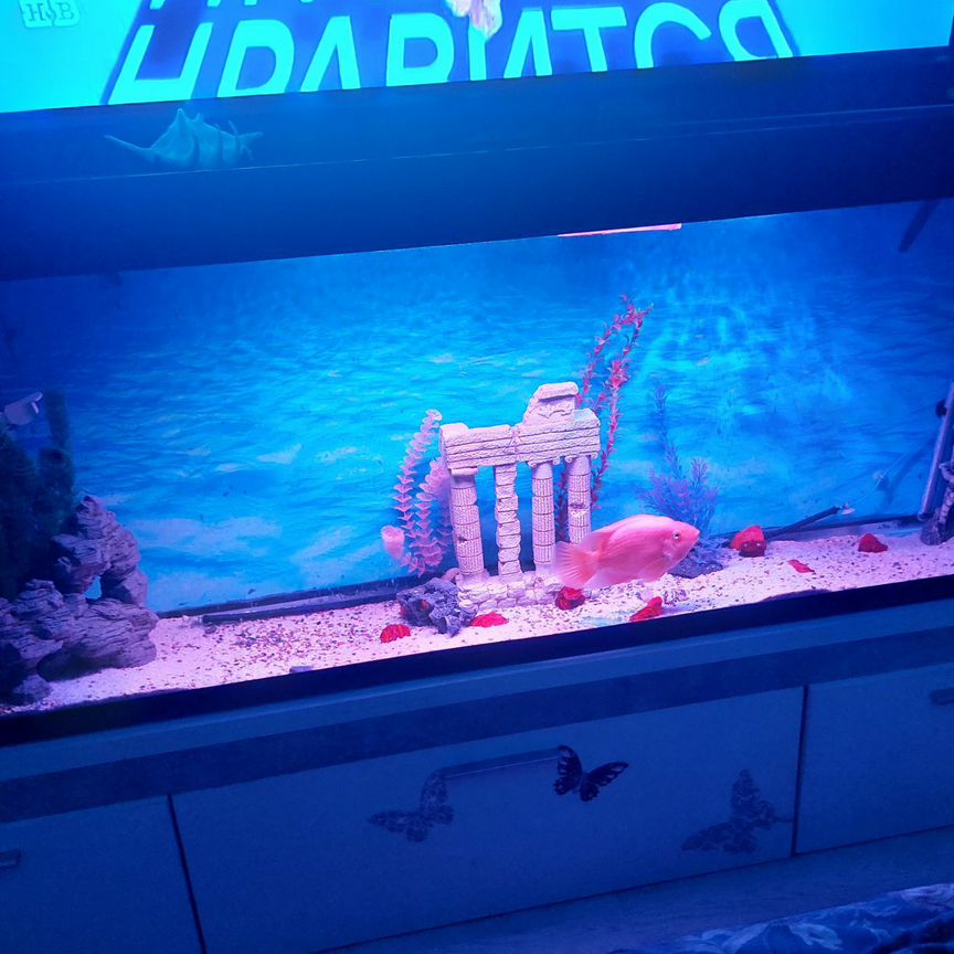 Аквариум с тумбой узкий