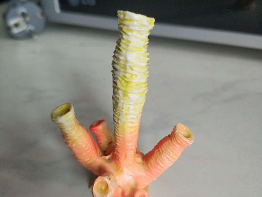 Декор для аквариума Коралл