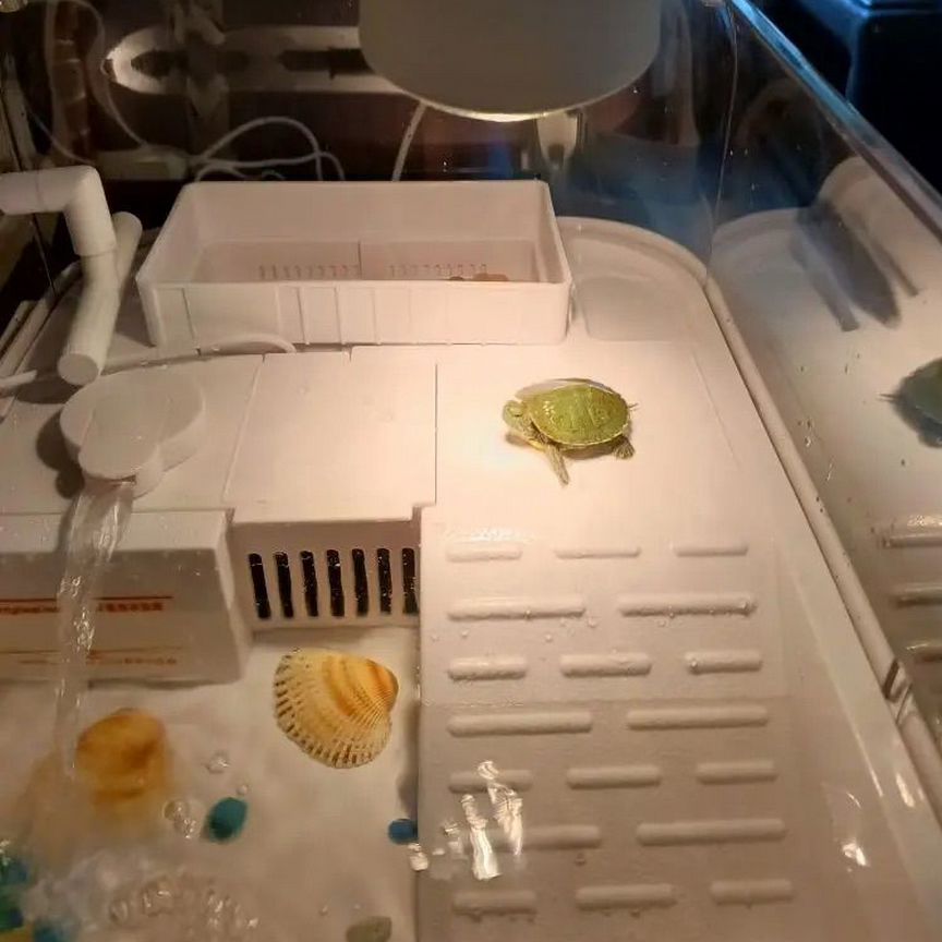 Аквариум для черепах