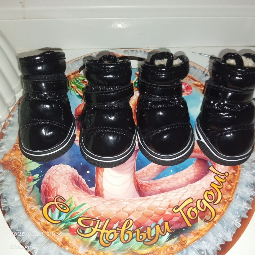 Ботинки для маленьких собак