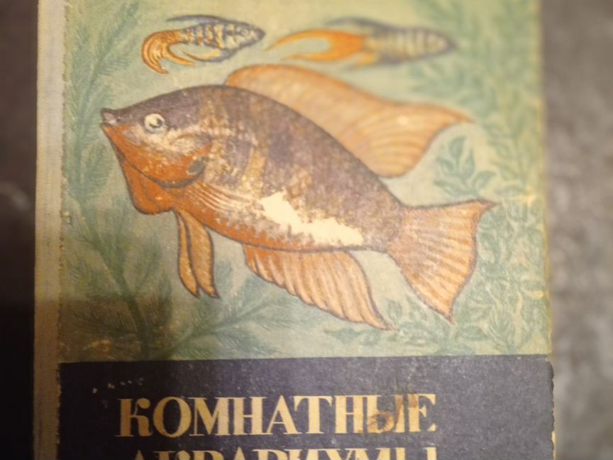 Книга Аквариумные рыбки