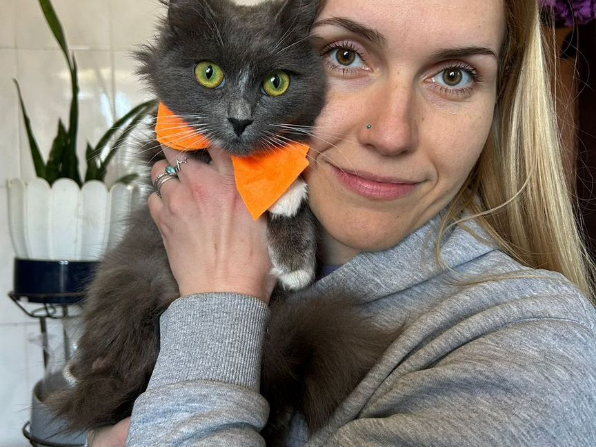 Кошка Дымка ищет дом