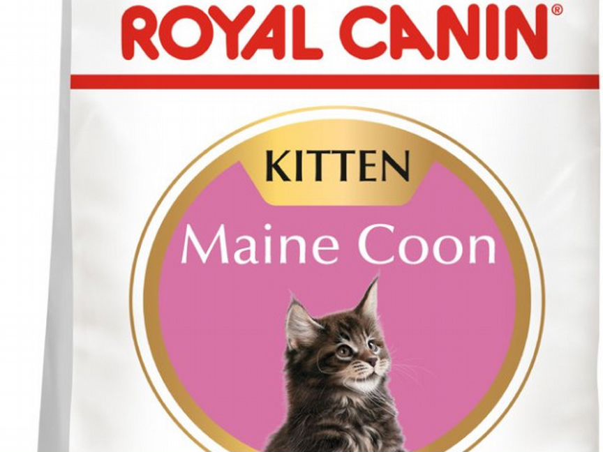 Породные корма royal canin для кошек
