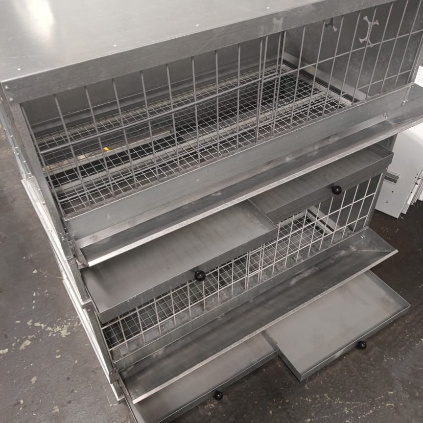 Клетки после испытаний