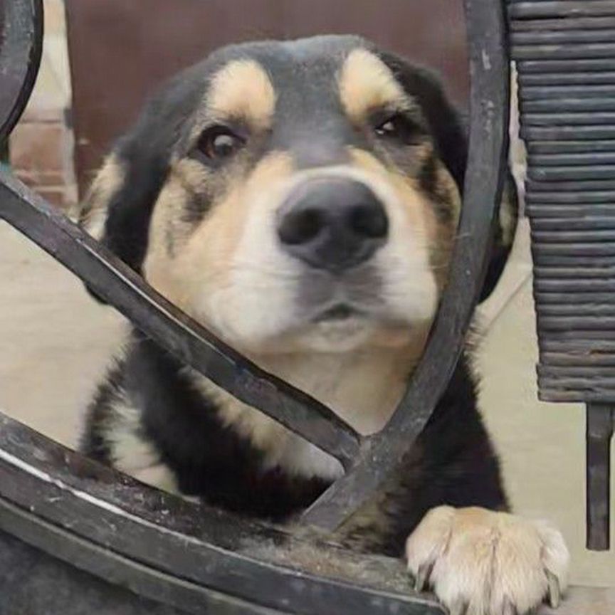 Добряк Мартин еще подросток