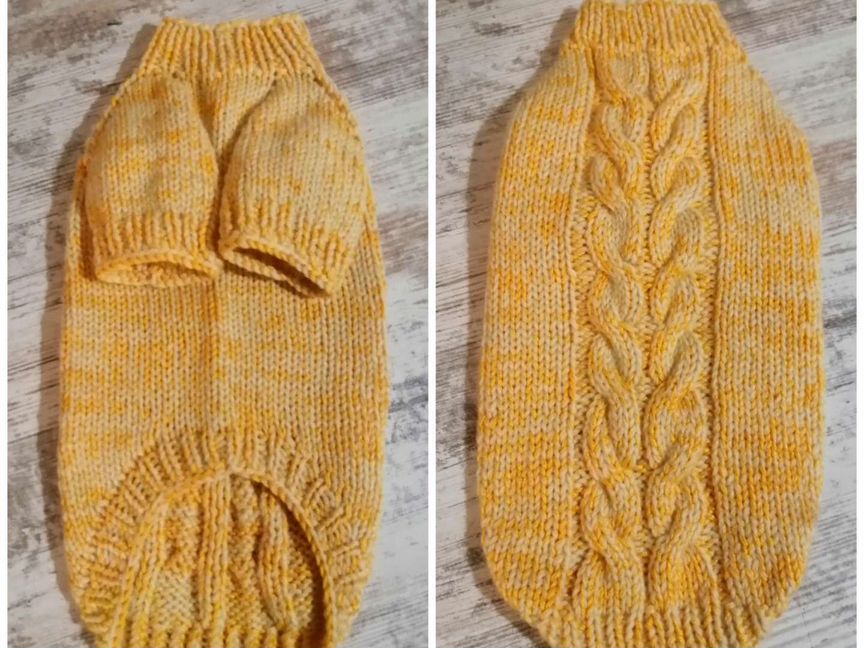 Кофточки для питомца