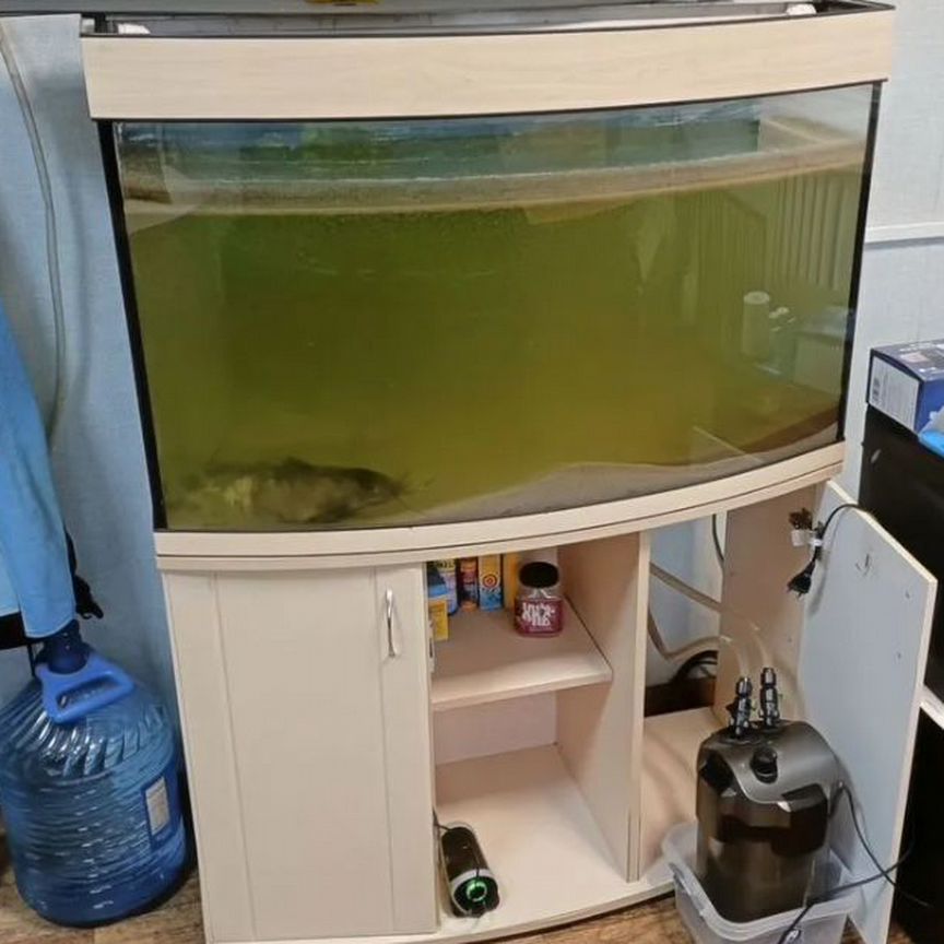 Аквариум с тумбой 200л панорамный Б/У торг