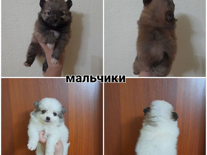 Пушистые облачки