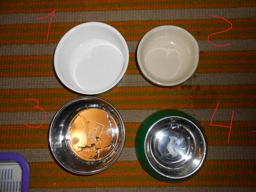 Лотки и миски для кошек