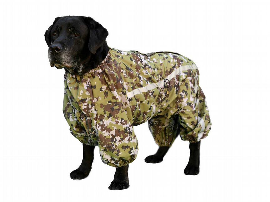 Товары для животных