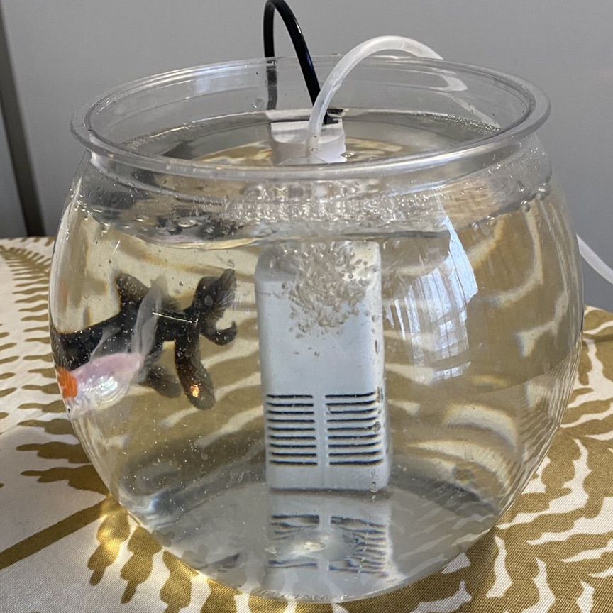 Аквариум с рыбками