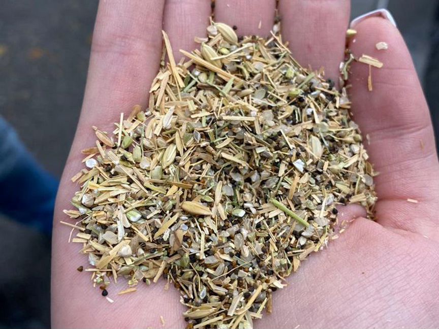 Зерноотходы