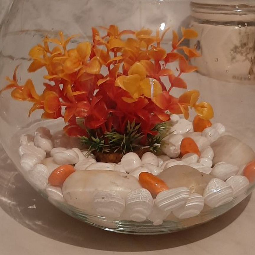 Аквариум круглый