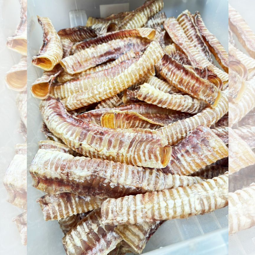 Трахея говяжья длинная 10шт