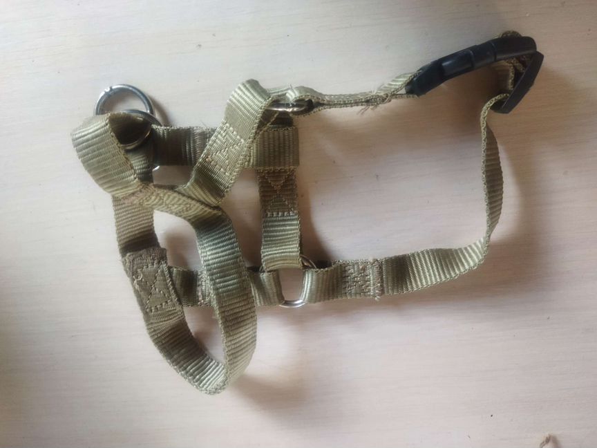 Халти для собак(недоуздок)