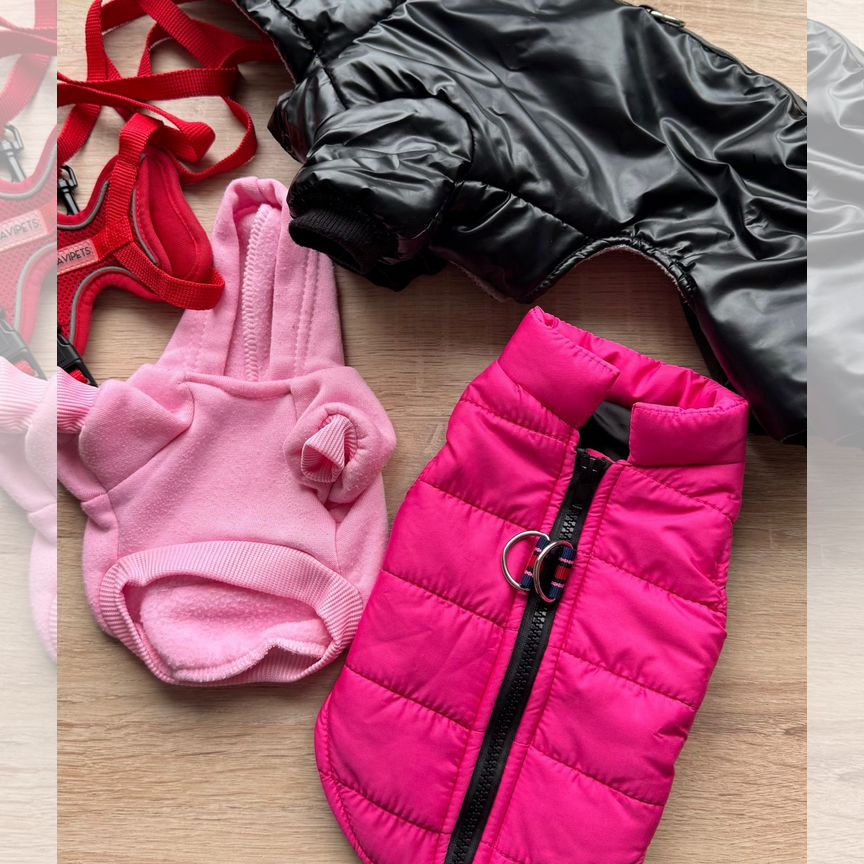 Комплект одежды для собак