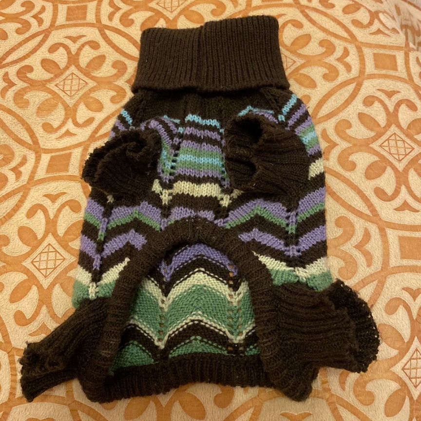 Йоркширский терьер, щенок