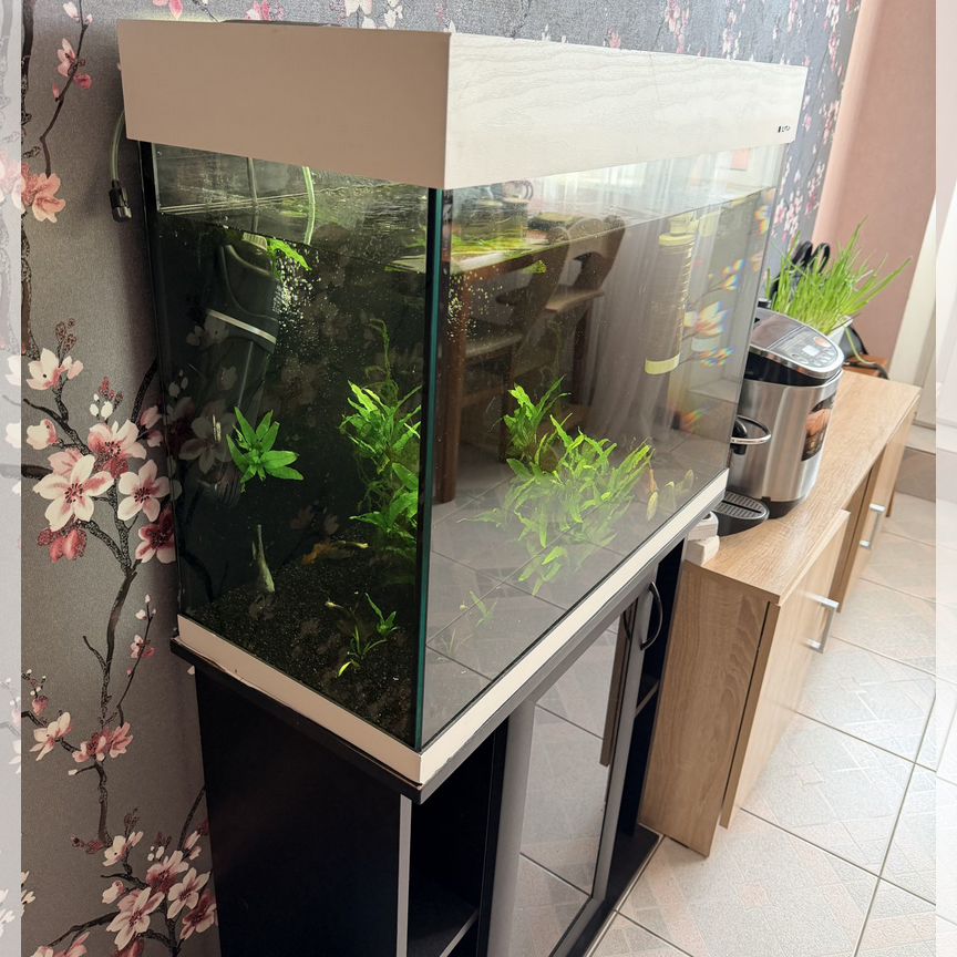 Аквариум с тумбой 110 литров