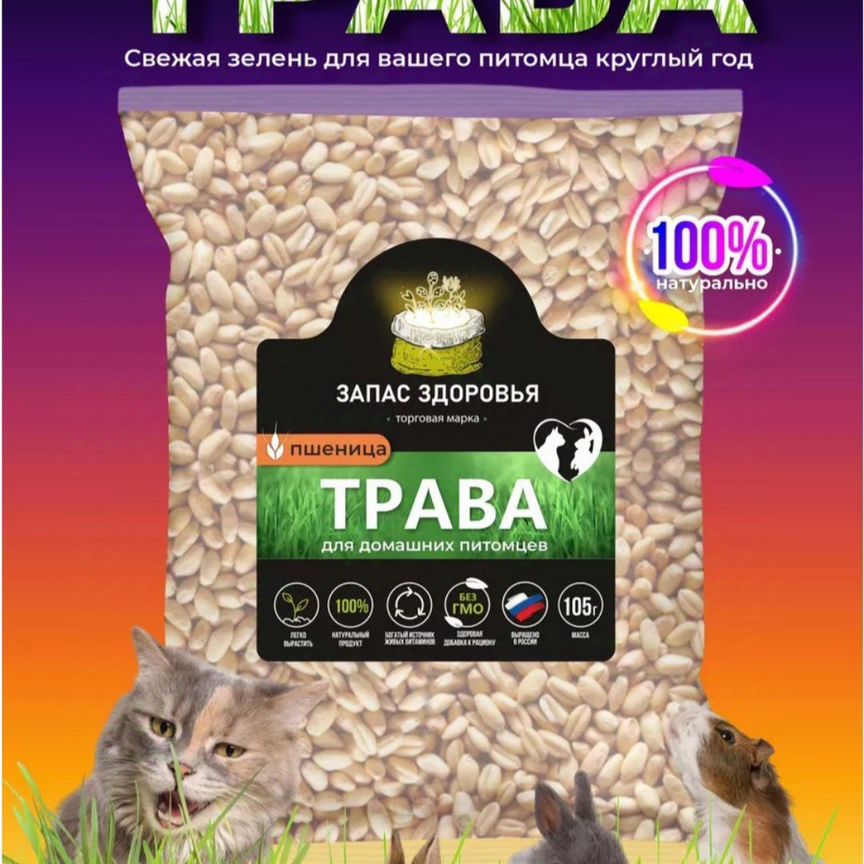 Семена травы для животных