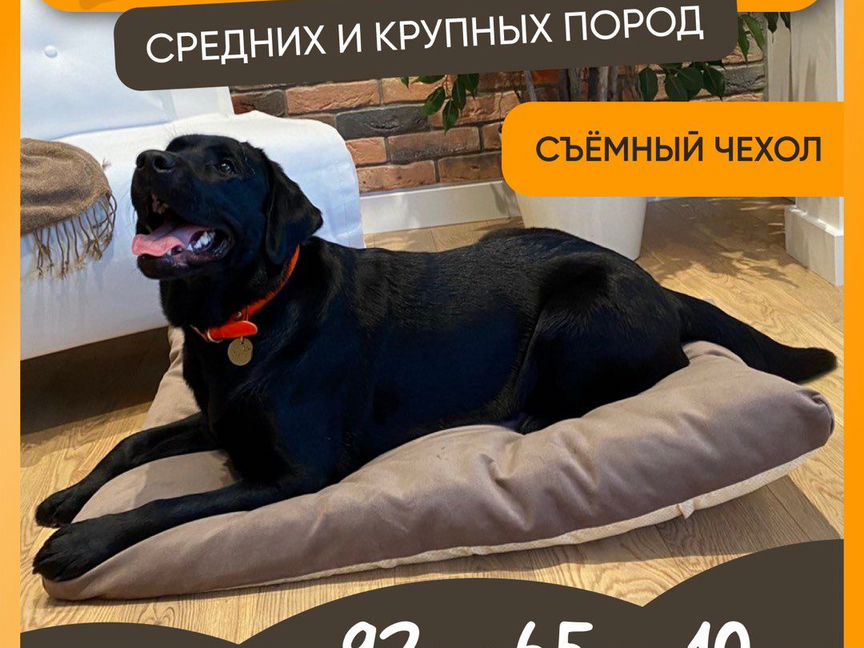 Дежанка для собак и кошек