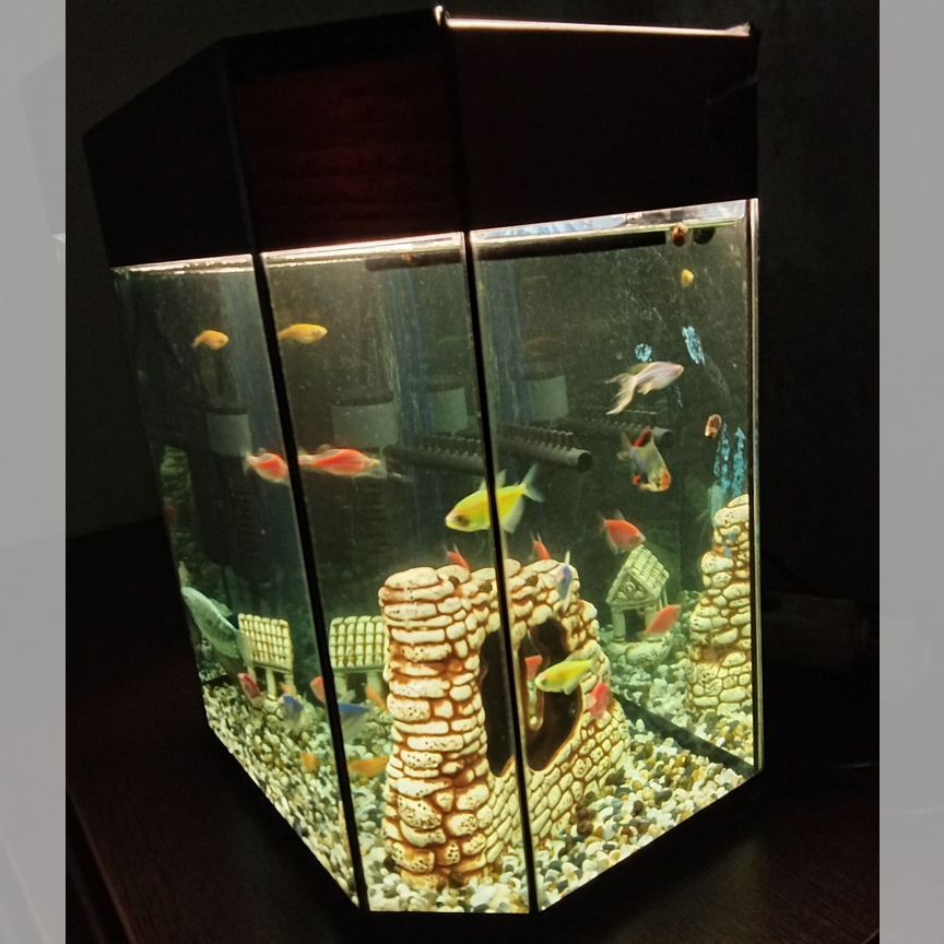 Аквариум с рыбками