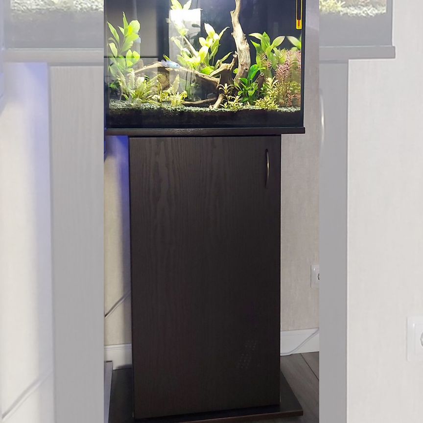 Аквариум с рыбками