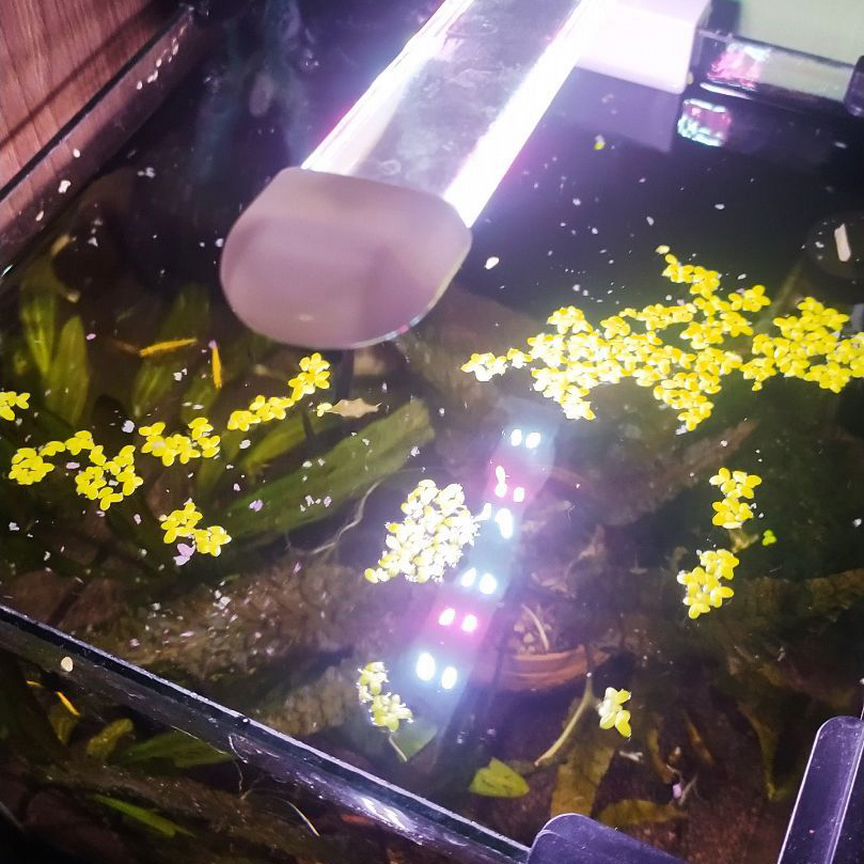 Светильник для аквариума бу