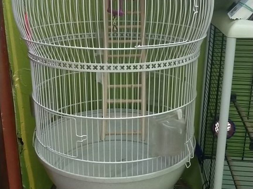 Клетки для попугаев и разных грызунов