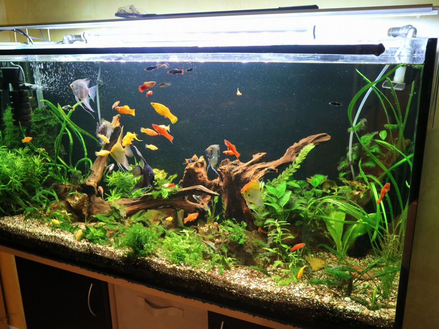 Светильник для аквариума chihiros бу