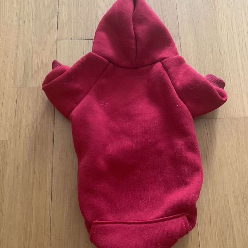 Вещи для собак