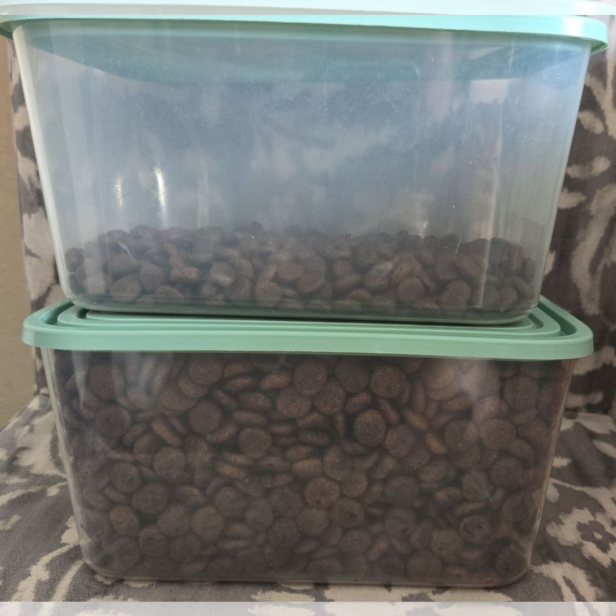 Корм для собак grandorf кролик индейка