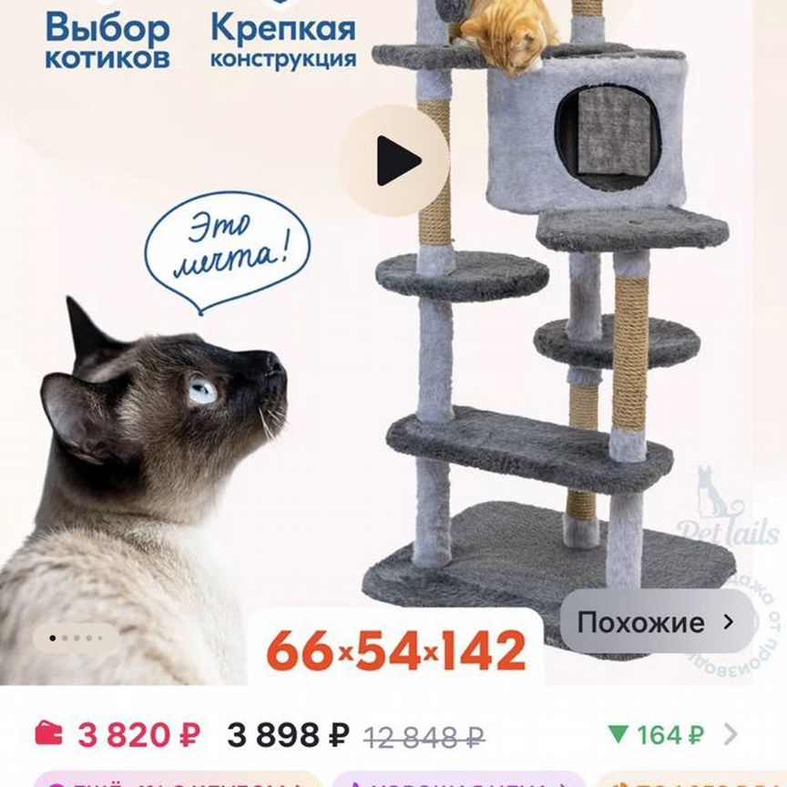 Когтеточка