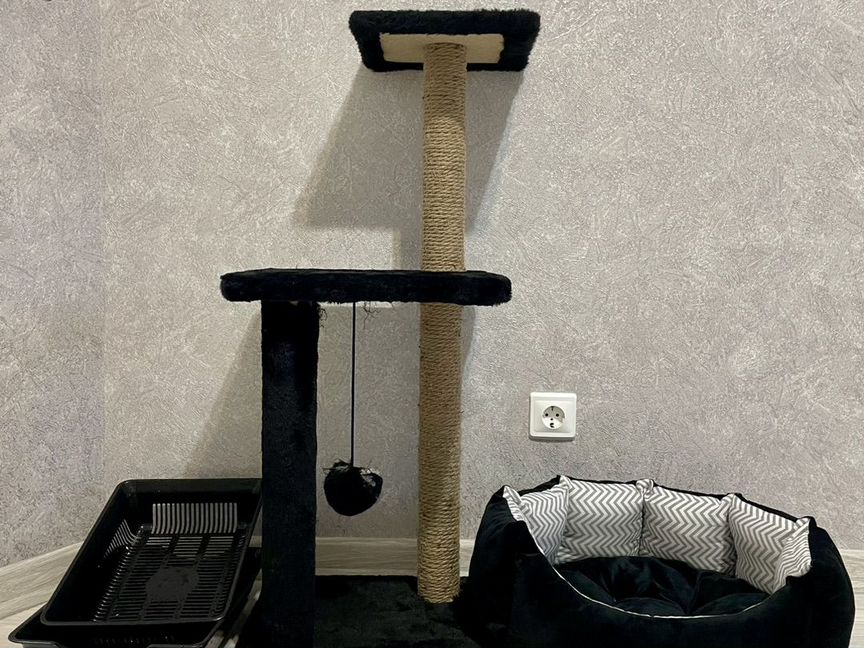 Когтеточка, лежанка, 2 миски и лоток