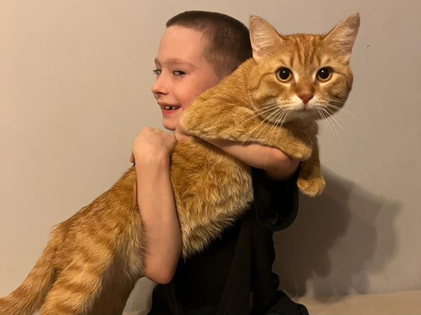 Кот