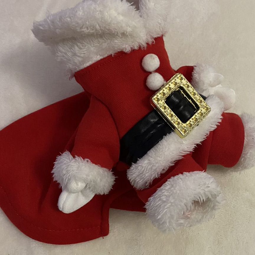 Костюм Деда Мороза для собачки маленькой породы