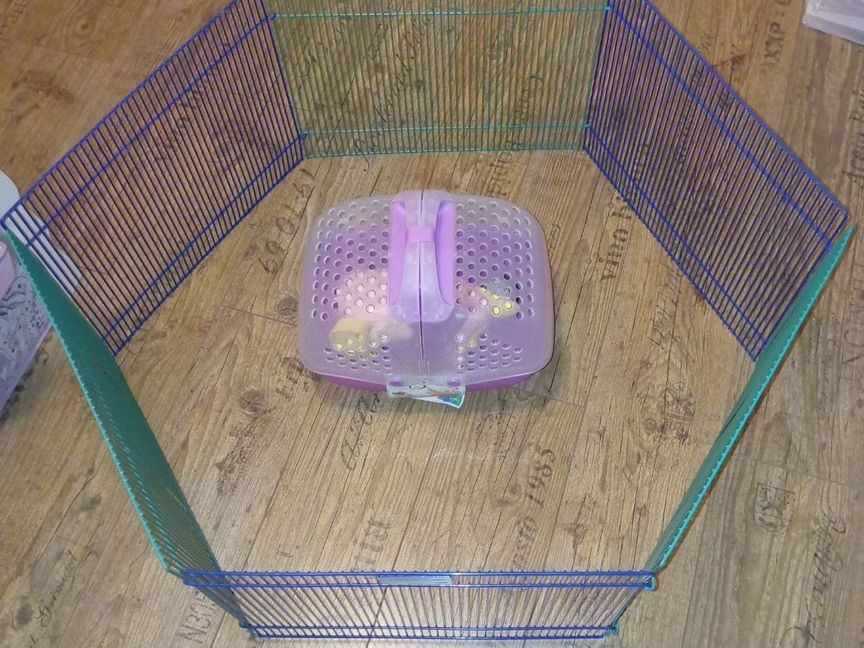 Почти новое Вольер и переноска для, грызунов