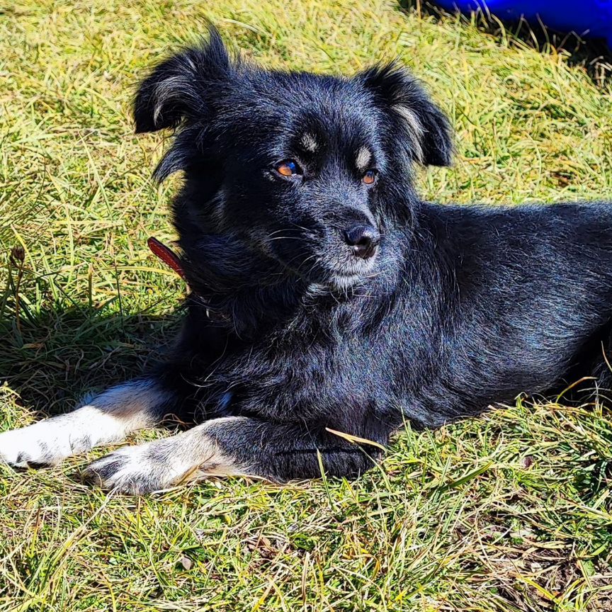 Что за красота