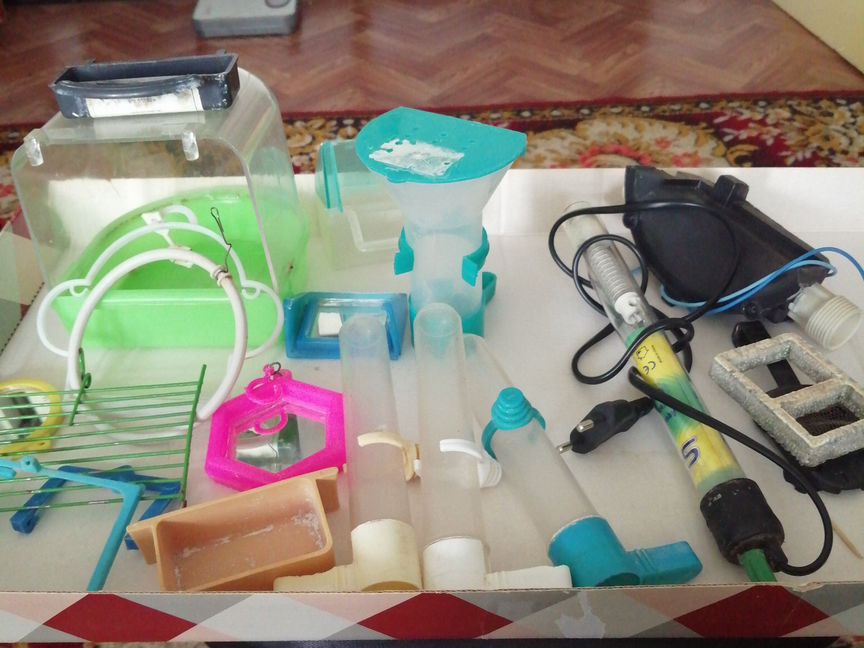 Для попугая и рыб