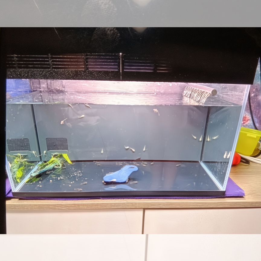 Аквариум xiaomi myg100