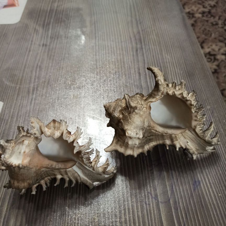 Грот в аквариум большой