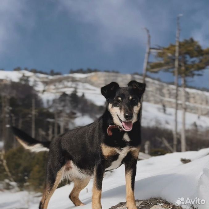 Тося из зоны сво хочет найти дом и семью