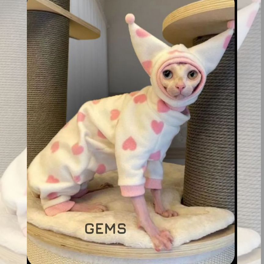 Костюм для сфинкса