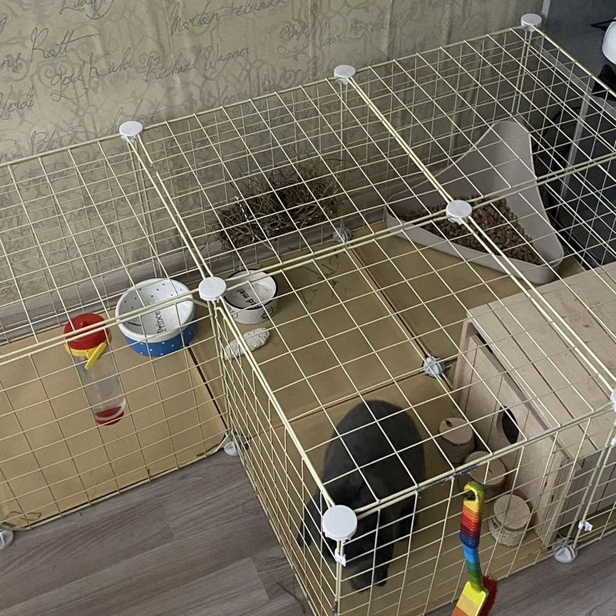 Клетка для декоративного кролика