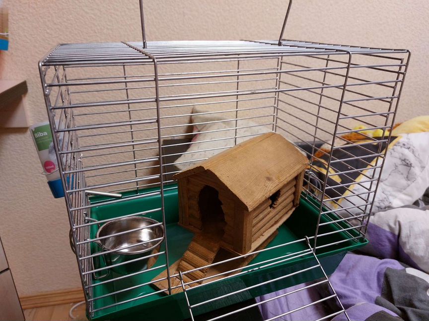 Клетка для грызунов