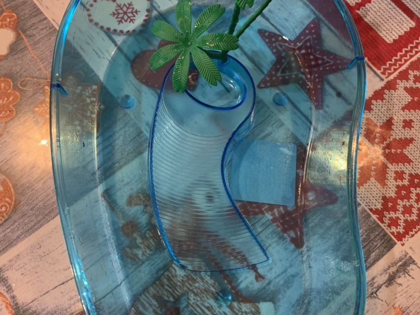 Аквариум черепашник